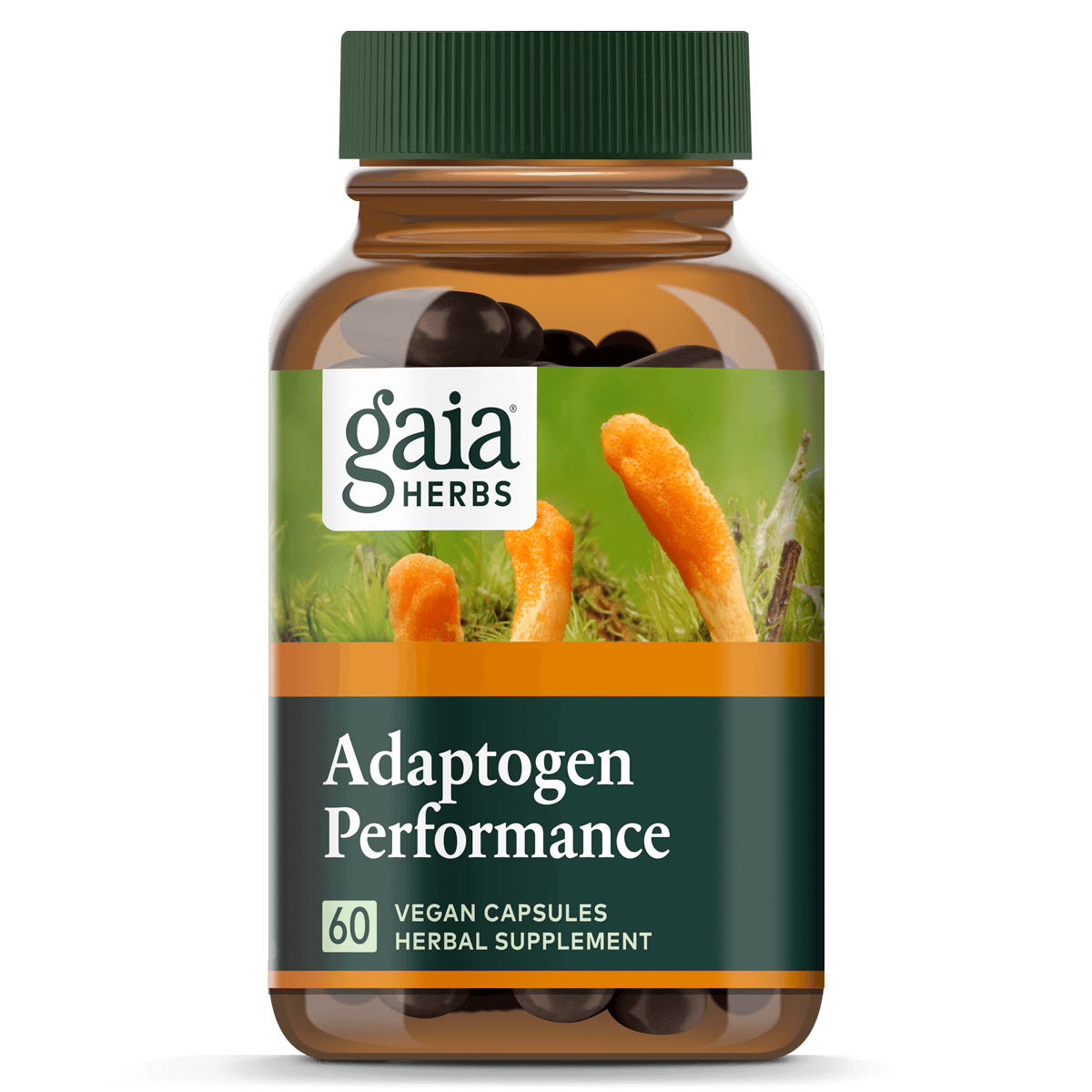 Adaptogen Performance capsules van Gaia Herbs kopen? | Morgen is Nu